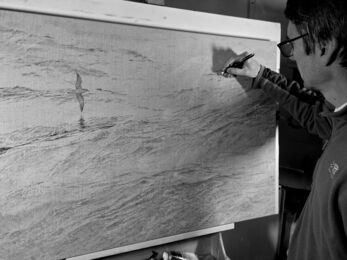 Award winning biro artist draws over 50 nature reserves for charity ...