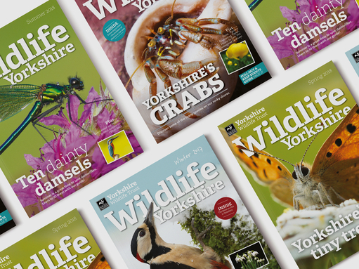 Membership | The Wildlife Trusts