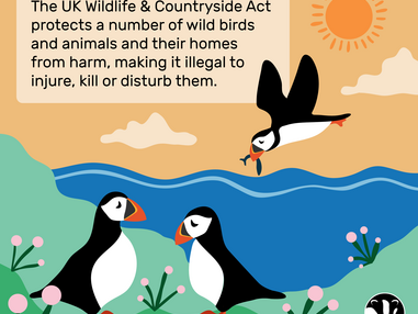 Little tangible progress for nature at COP27 as the world heads to ...