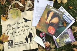 Find the perfect gift and help wildlife | The Wildlife Trusts