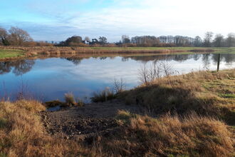Wetlands | The Wildlife Trusts