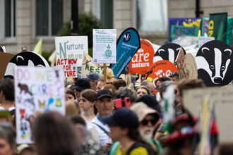 Bugle | The Wildlife Trusts