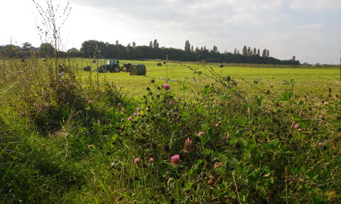Lower Smite Farm – Worcestershire Wildlife Trust | The Wildlife Trusts