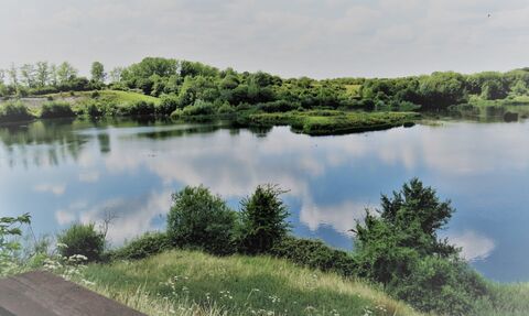Upper Thames Living Landscape | The Wildlife Trusts