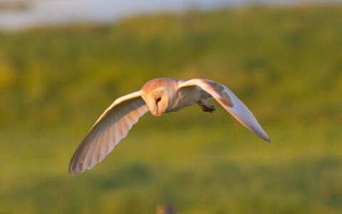 25 years of support | The Wildlife Trusts