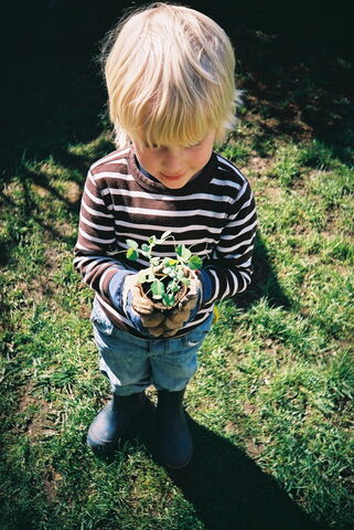 Growing with nature | The Wildlife Trusts