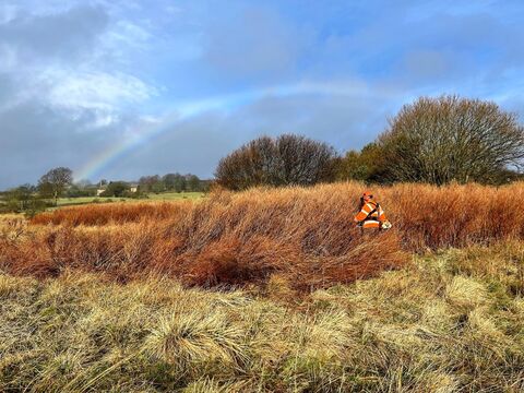 Healing Nature in Durham | The Wildlife Trusts