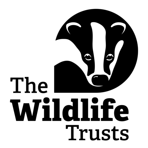 Thank you for your pledge for wildlife | The Wildlife Trusts