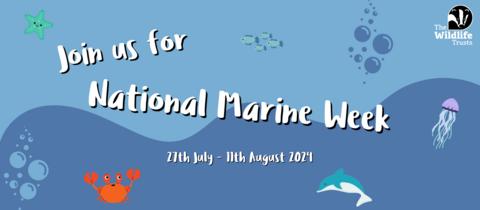 Sea the connection: National Marine Week 2024 will map people’s love of ...