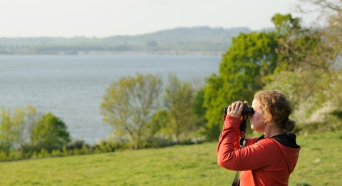 Plan your dream wildlife job this year at Birdfair | The Wildlife Trusts