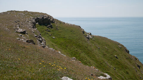 Lowland calcareous grassland | The Wildlife Trusts