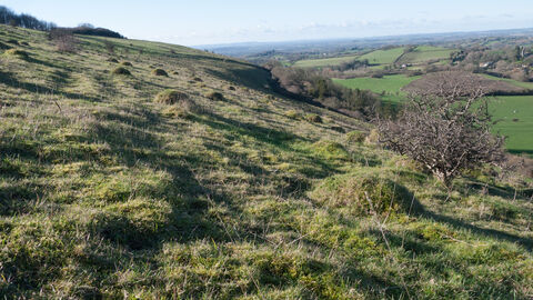 Lowland calcareous grassland | The Wildlife Trusts
