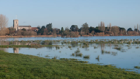 Coastal and floodplain grazing marsh | The Wildlife Trusts