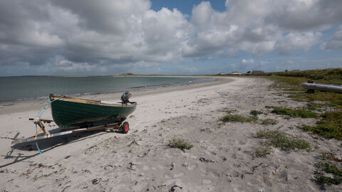 Beaches and strandlines | The Wildlife Trusts