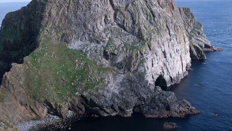 Maritime cliff | The Wildlife Trusts