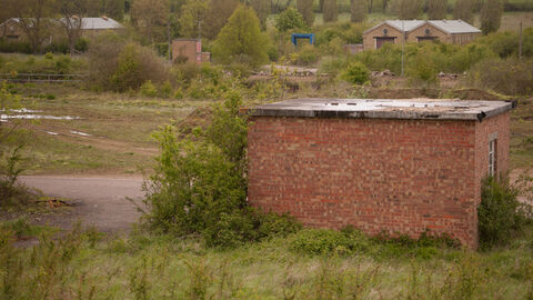 Brownfield | The Wildlife Trusts