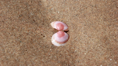 Thin tellin | The Wildlife Trusts