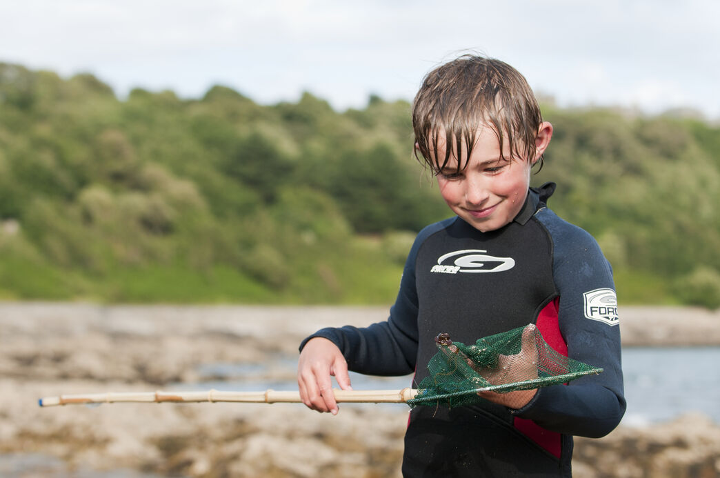 Rockpool wildlife | The Wildlife Trusts