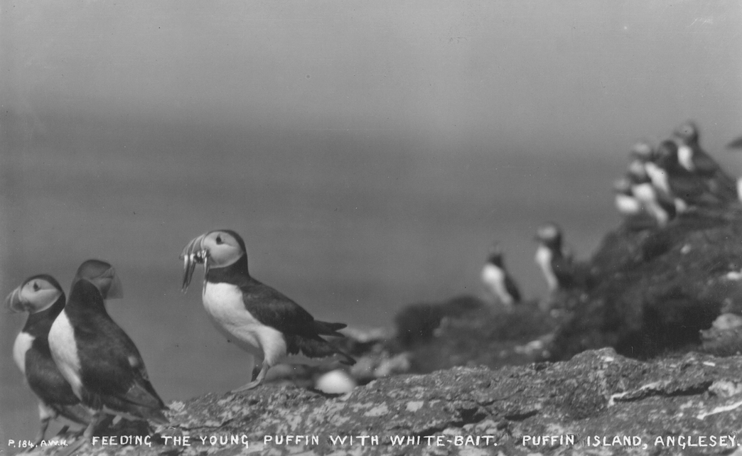 Rothschild's list | The Wildlife Trusts