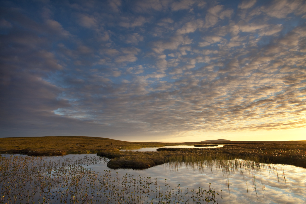 Craig Bennett, chief executive of The Wildlife Trusts, awarded OBE in ...