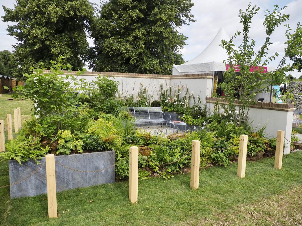 The Renters' Retreat | The Wildlife Trusts