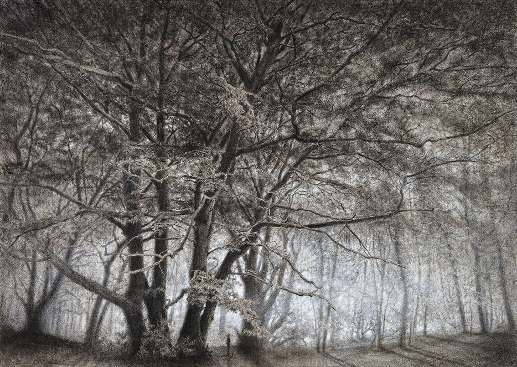 Wildlife Trust inspired award-winning artist auctions drawings | The ...