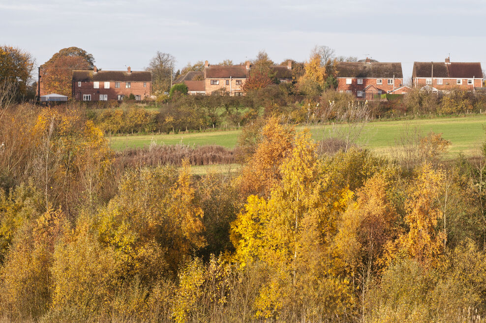 Planning Bill breaks Labour’s nature promises, say The Wildlife Trusts ...