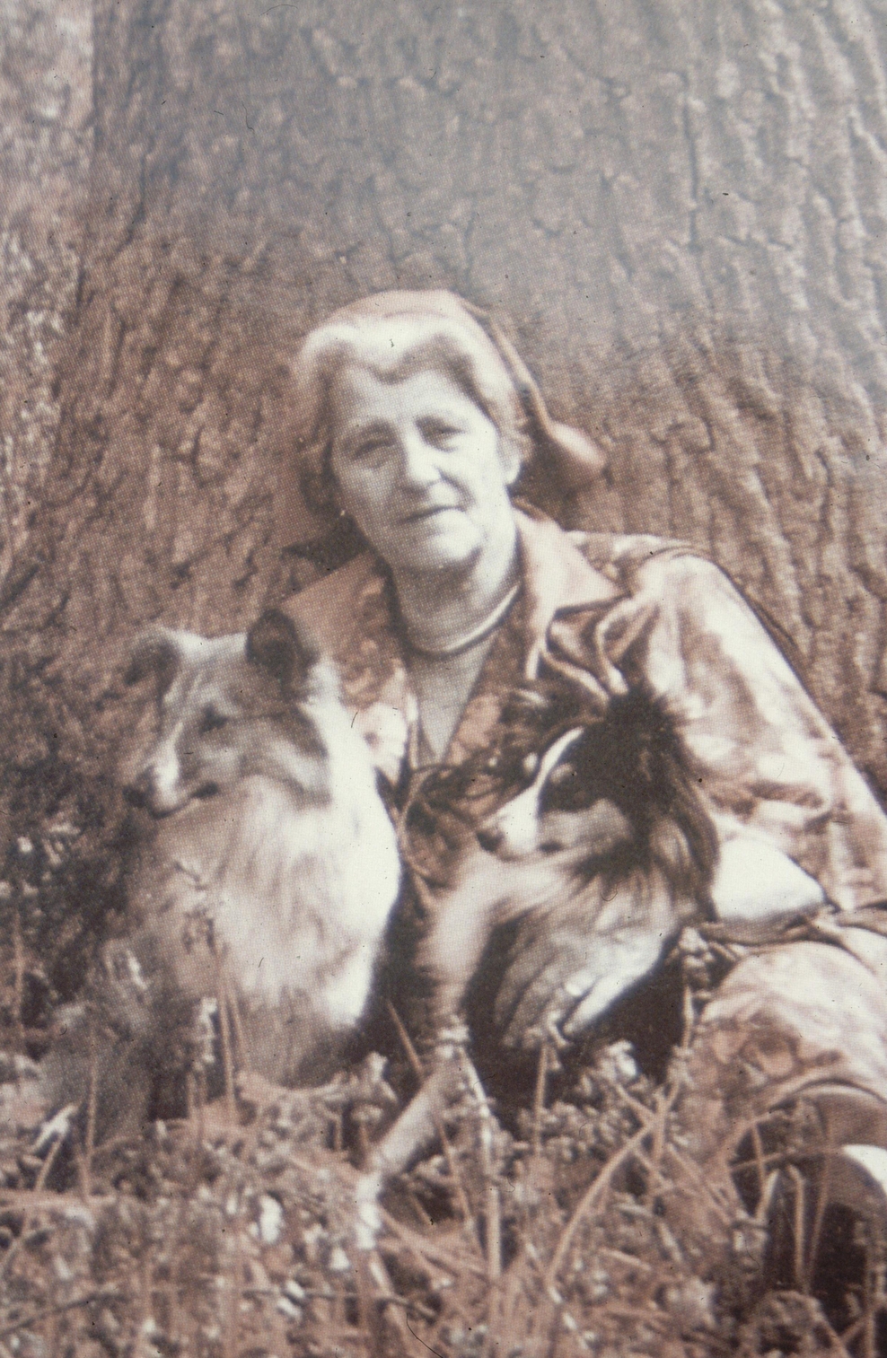 Our history | The Wildlife Trusts