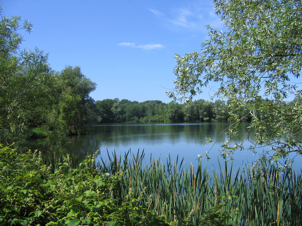 Biodiversity Benchmark | The Wildlife Trusts