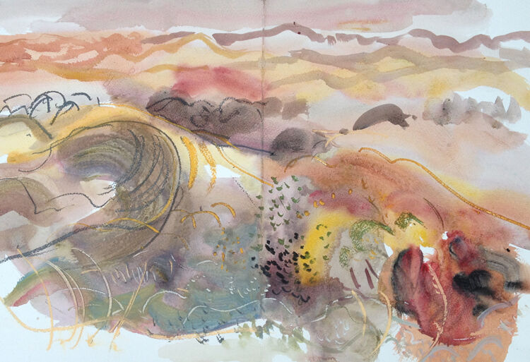 Rothschild's list | The Wildlife Trusts