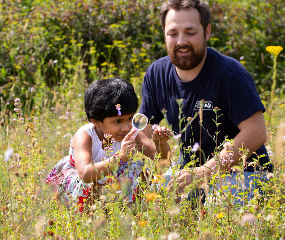 Local Nature Recovery Strategies - no longer dust-gatherers? | The ...