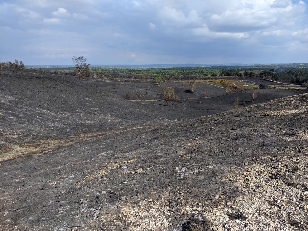 New measures needed to help struggling wildlife cope with water ...