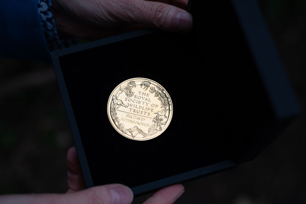 Sir David Attenborough awarded Rothschild medal in recognition of 60 ...