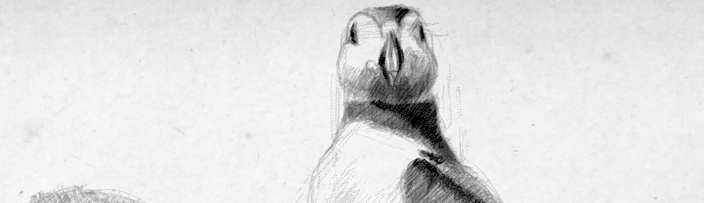 Award winning biro artist draws over 50 nature reserves for charity ...