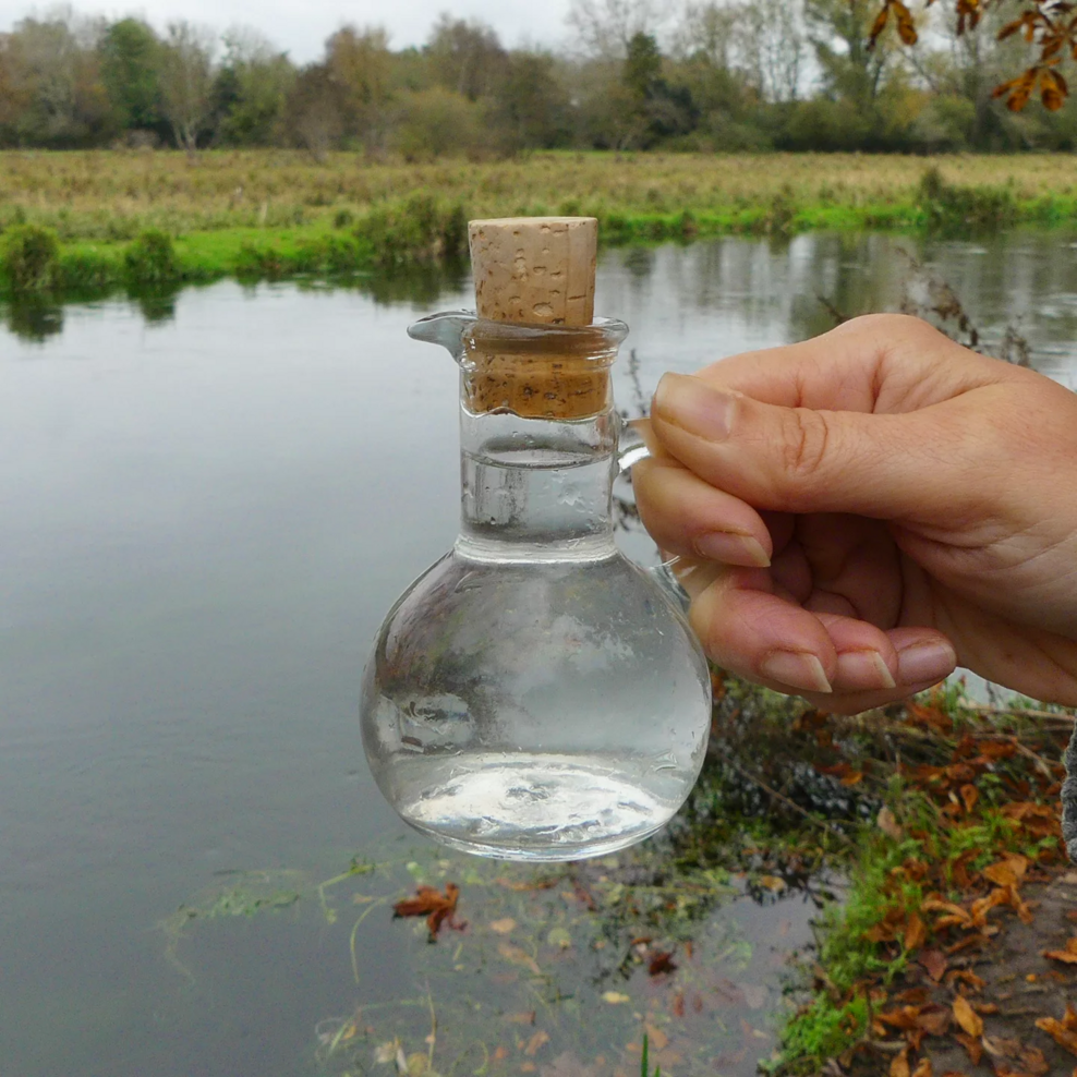 Reflections from the March for Clean Water | The Wildlife Trusts
