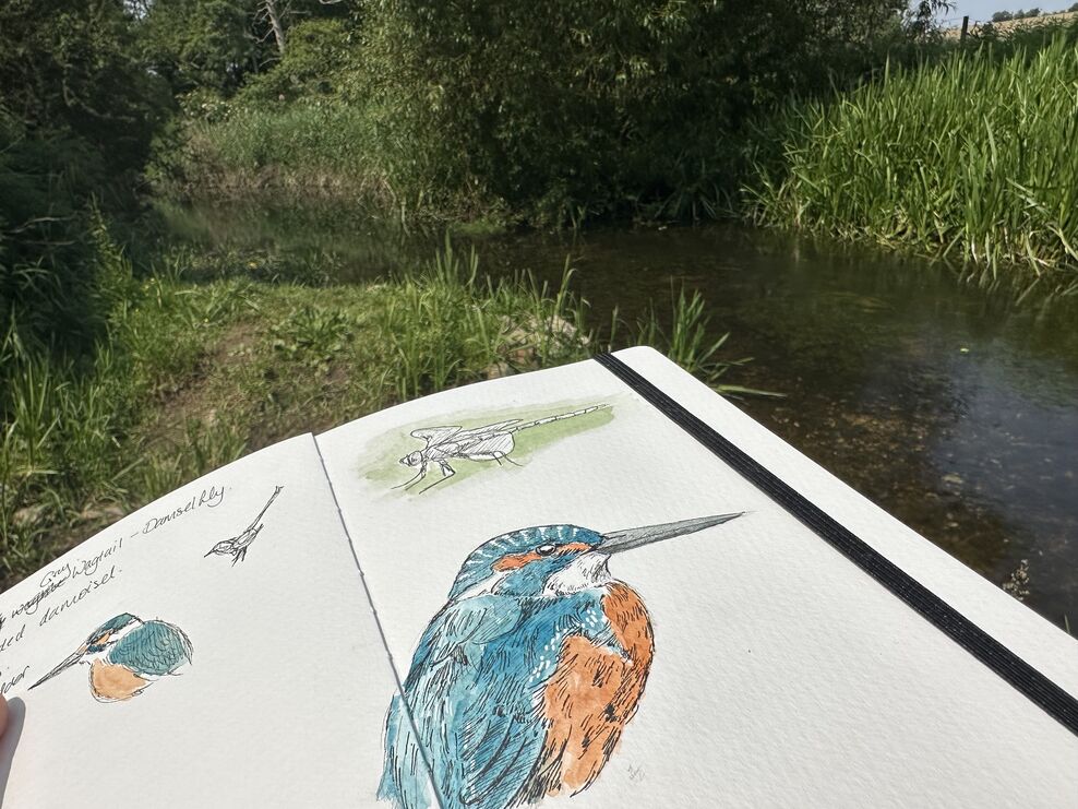 How to start a nature journal | The Wildlife Trusts