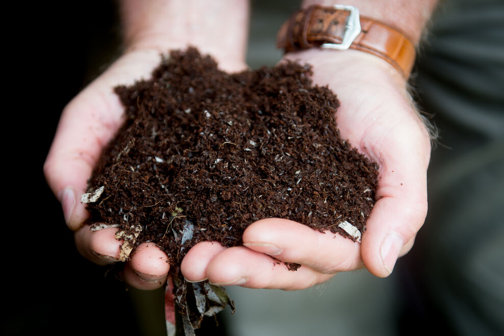 Protecting the UK’s Amazon rainforest: Why a horticultural peat ban ...