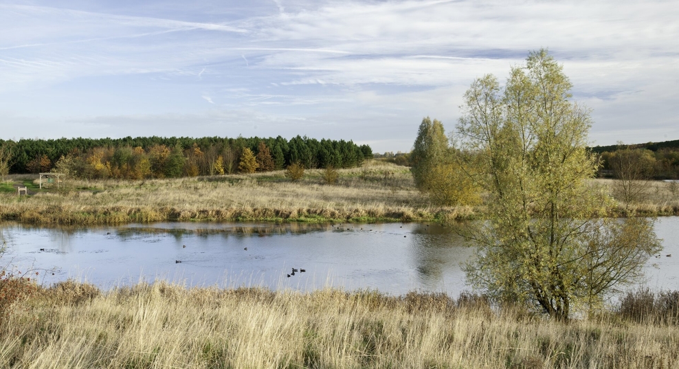 Charnwood Forest Living Landscape | The Wildlife Trusts