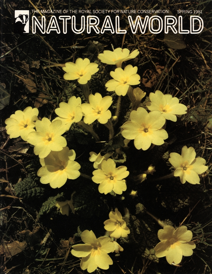 Our history | The Wildlife Trusts