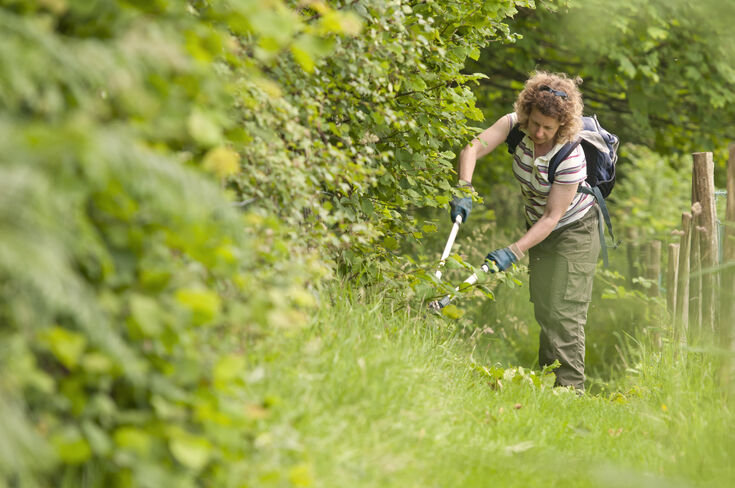 Volunteer | The Wildlife Trusts