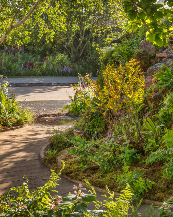 Magical British rainforest garden wins the public vote! | The Wildlife ...