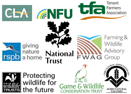 Industry calls for ‘Gove guarantee’ on agri-environment schemes | The ...