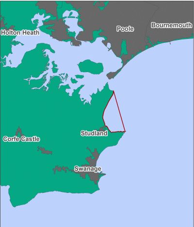 Eastern Channel Marine Conservation Zones | The Wildlife Trusts