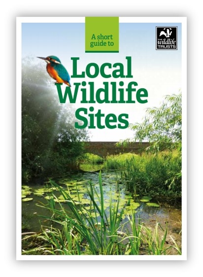 Local Wildlife Sites | The Wildlife Trusts