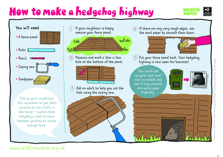 How to create a hedgehog hole | The Wildlife Trusts