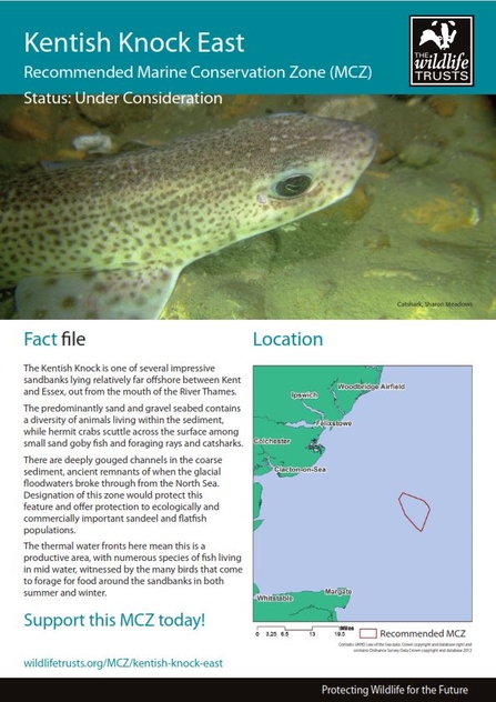 Southern North Sea Marine Conservation Zones | The Wildlife Trusts