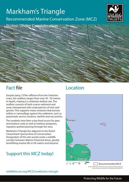 Southern North Sea Marine Conservation Zones | The Wildlife Trusts