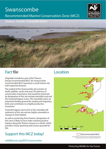 Southern North Sea Marine Conservation Zones | The Wildlife Trusts