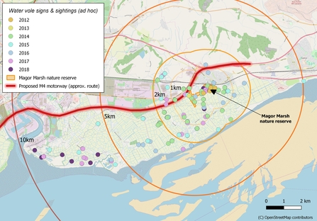 New map shows endangered water voles thriving across threatened ...