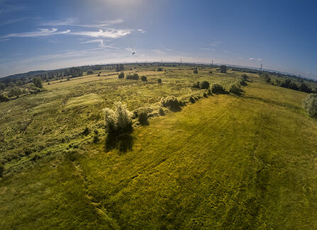 The Gwent Levels - a landscape under threat | The Wildlife Trusts